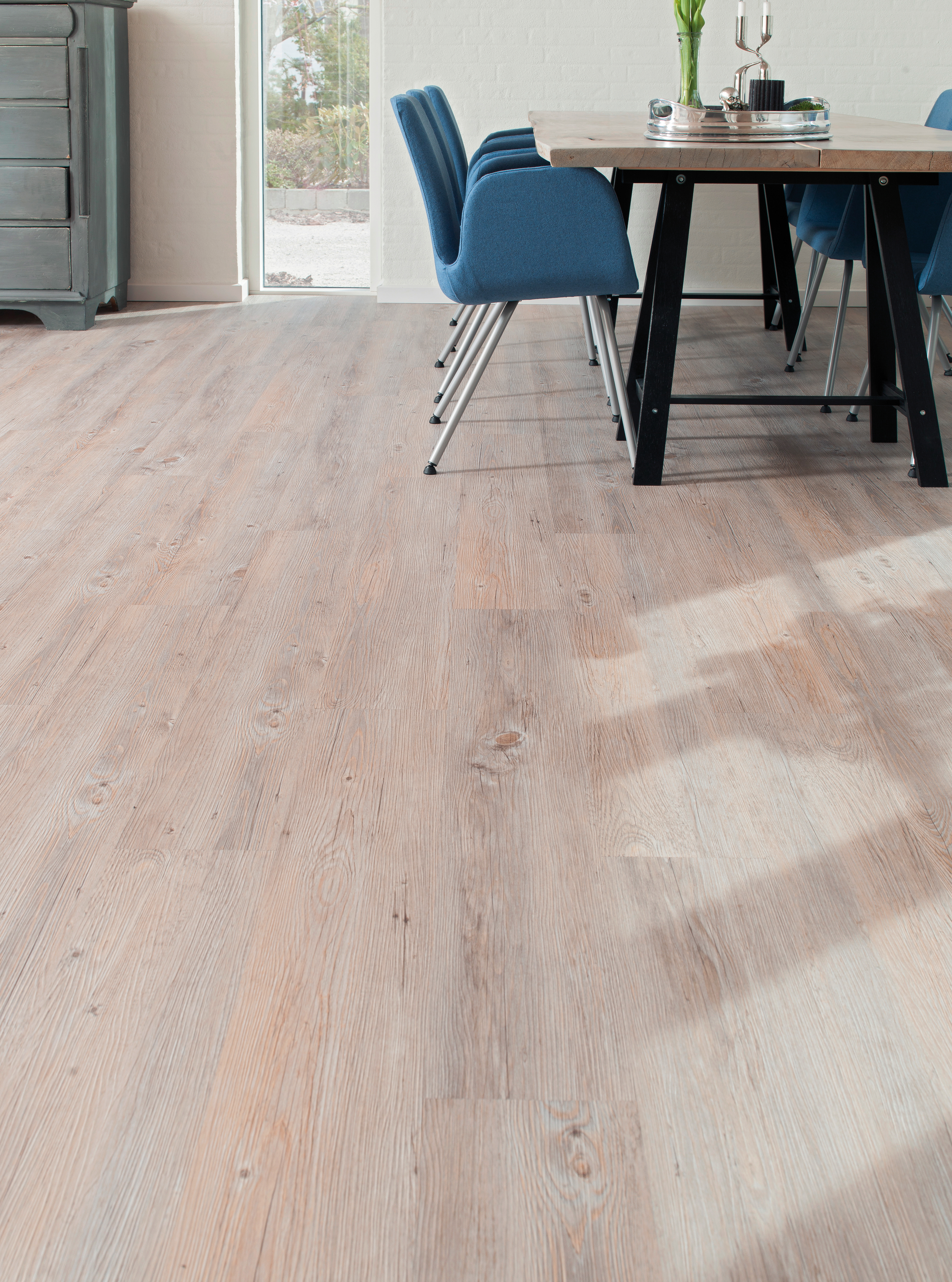 Alaska Oak, Start ⏐ 80002830